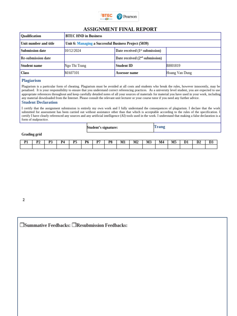 Assignment Final Report | PDF | Qualitative Research | Project Management