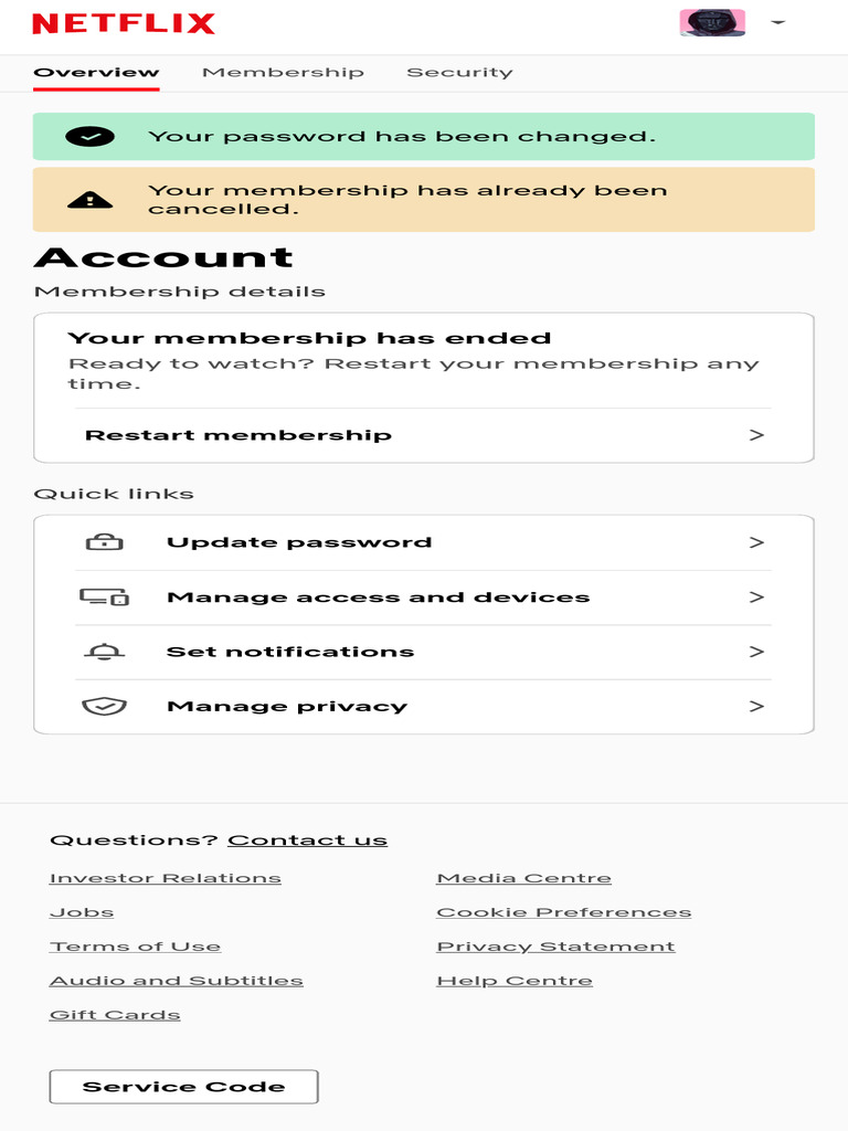 Account Settings - Netflix | PDF