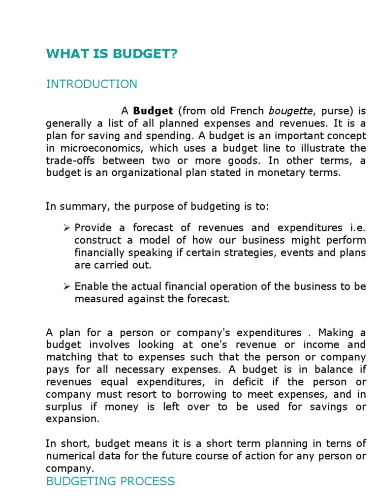 What Is Budget? | PDF | Budget | Economies