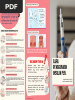 No. 1 Leaflet Tehnik Penyuntikan Insulin PDF | PDF