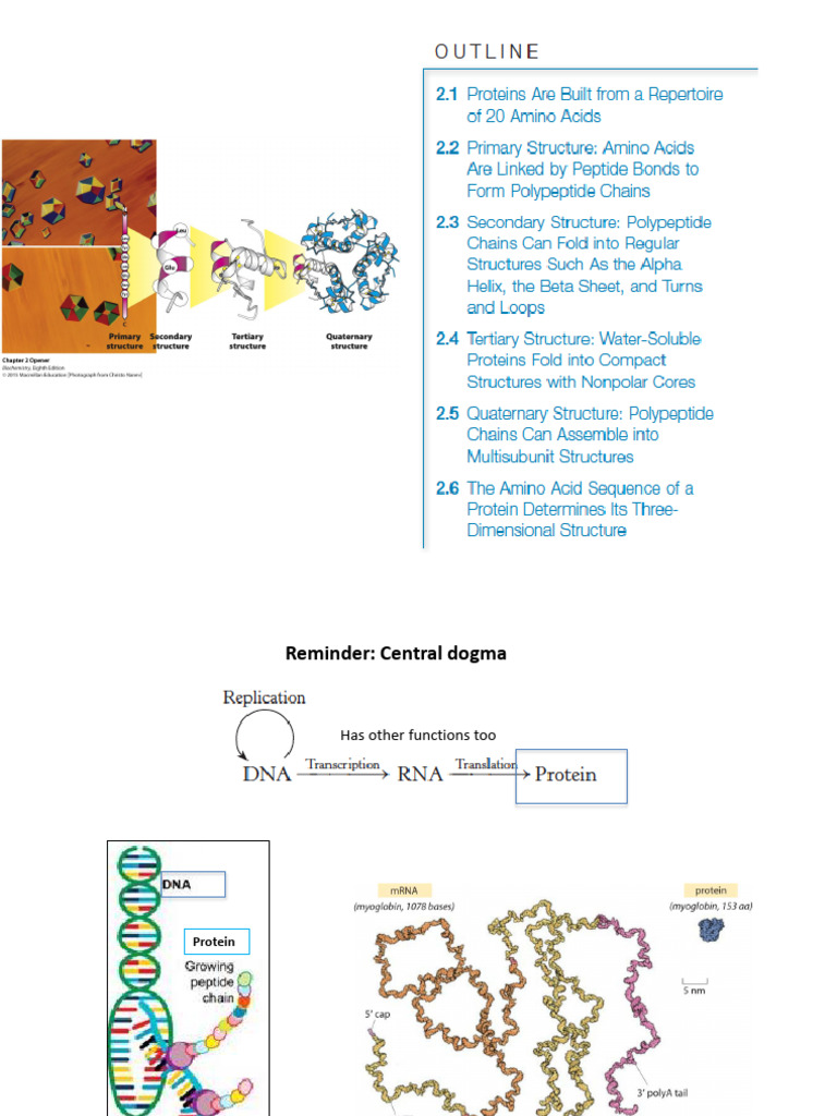 Berg 8e Lecture Slides Ch02 2023 | PDF | Acid Dissociation Constant | Chemical Polarity