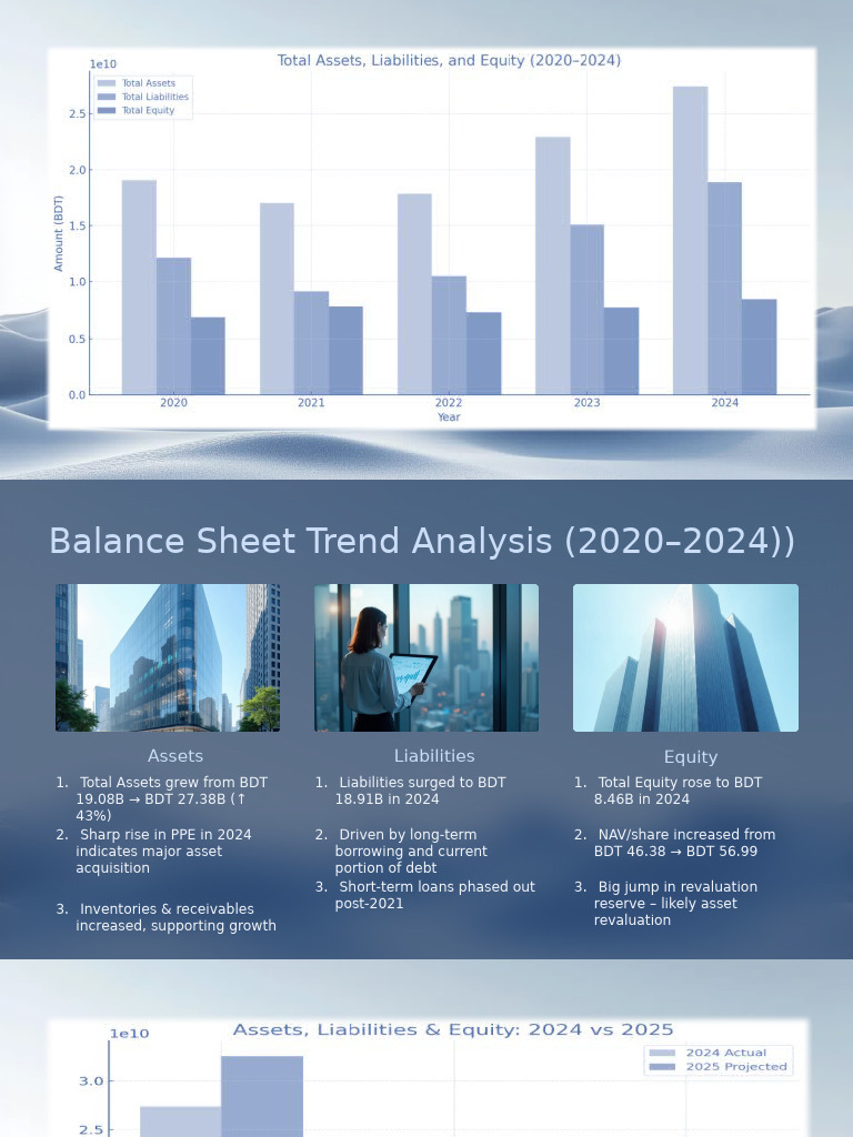 Pro Farma Balance Sheet | PDF