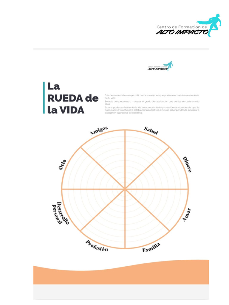 Carta de Metas | PDF