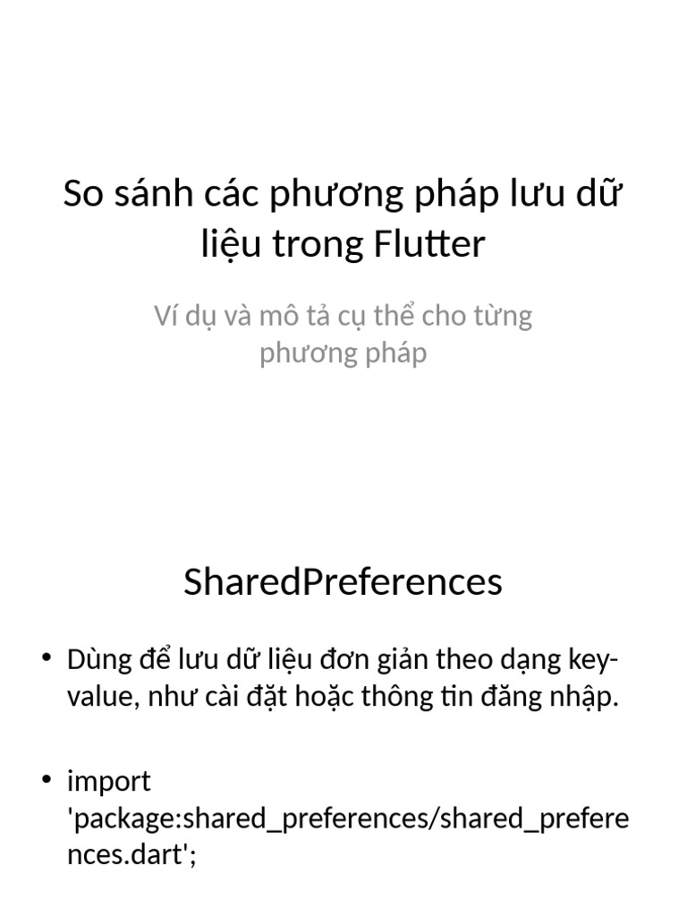 Flutter Data Storage Examples | PDF