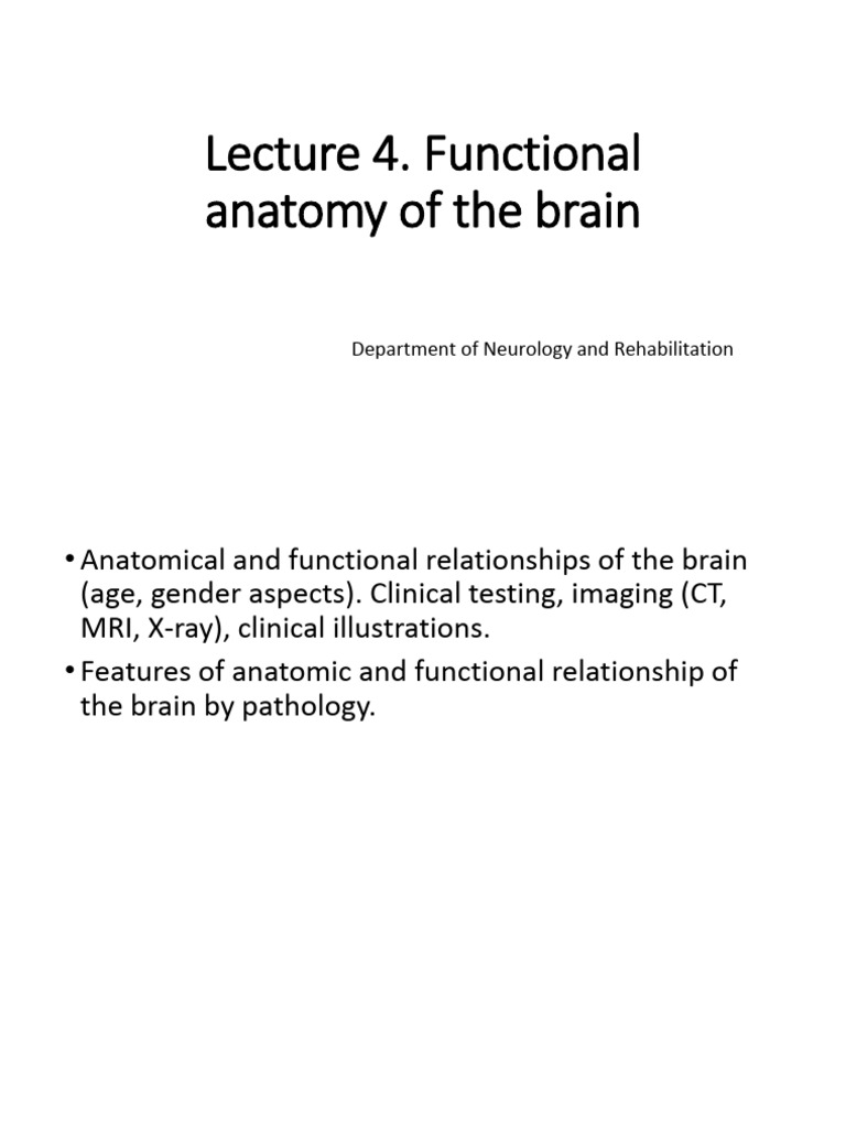 Lec 4-Functional Anatomy of Brain | PDF | Nervous System | Action Potential