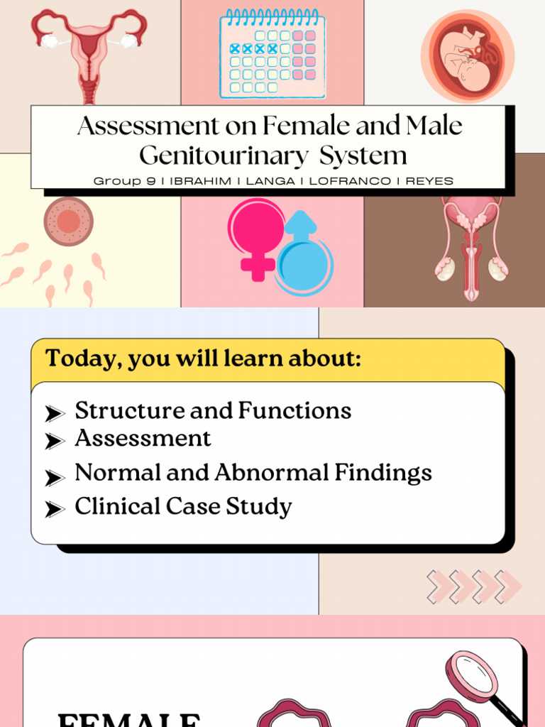 Group 9 - Female & Male Genitalia - 20250330 - 070008 - 0000 | PDF