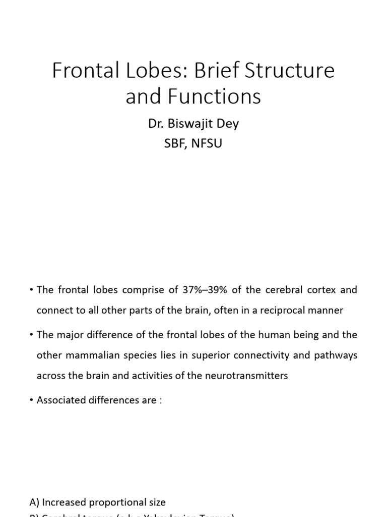 Frontal Lobes Brief Structure and Functions | PDF | Frontal Lobe | Cerebellum
