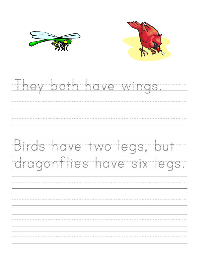 Compare Birds | PDF
