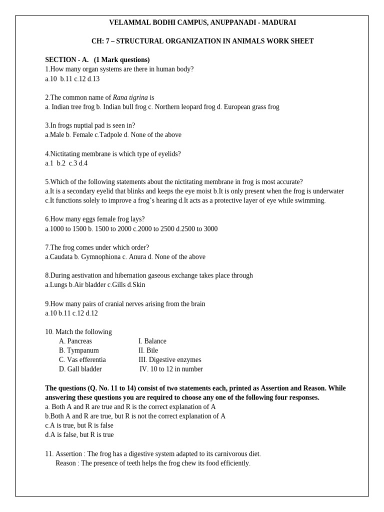 Structural Organization in Animals Worksheets | PDF | Frog | Zoology