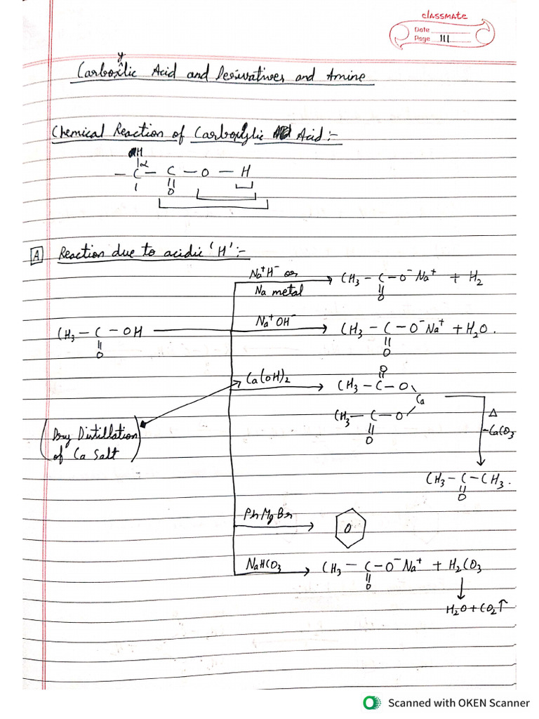 Oc Notes 18 September | PDF