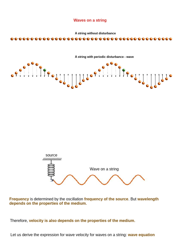 Waves On A String | PDF | Waves | Applied And Interdisciplinary Physics