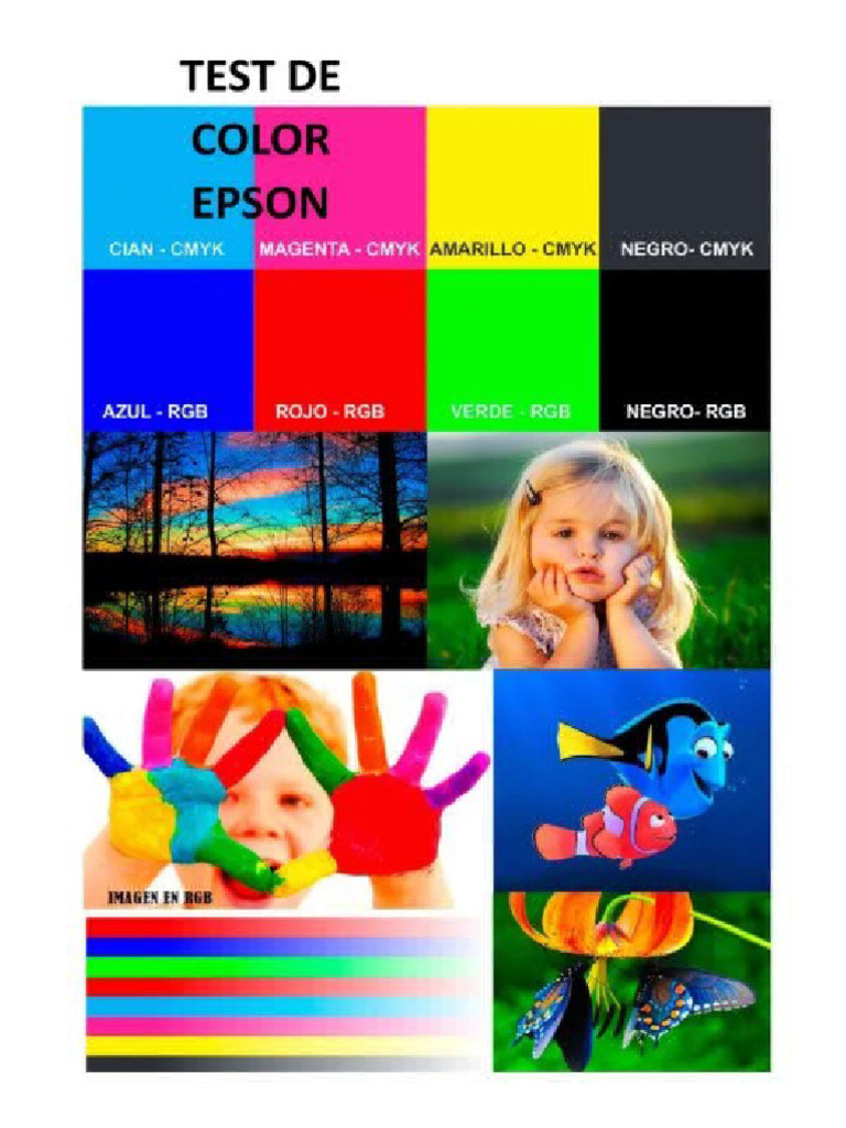 Test de Color Epson | PDF