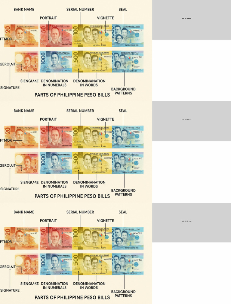 Philippine_Peso_Bills_Back_to_Back | PDF