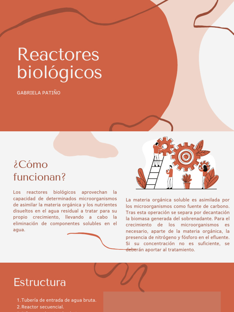 Reactores Biológicos | PDF