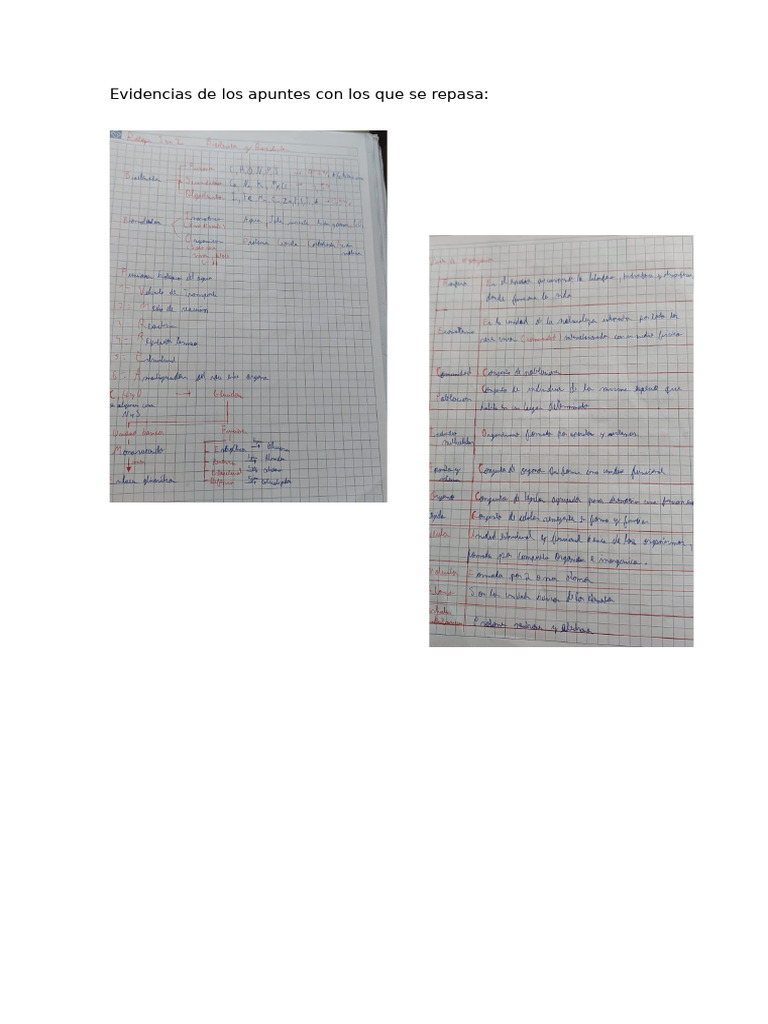 Evidencias repaso de apuntes | PDF