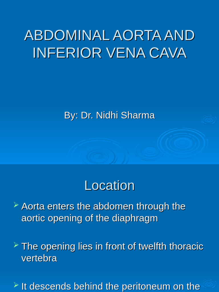 Abdominal Aorta and IVC | PDF | Aorta | Abdomen