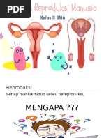 Contoh Rab Proposal | PDF