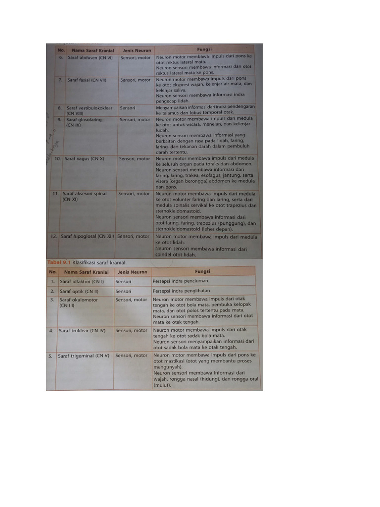 Foto-Foto Tugas | PDF