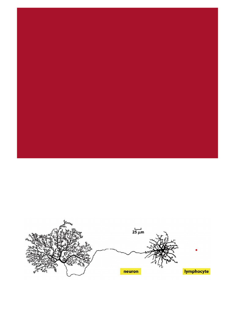 04-Kontrol Ekspresi Gen (Alberts-7) | PDF | Biology | Life Sciences