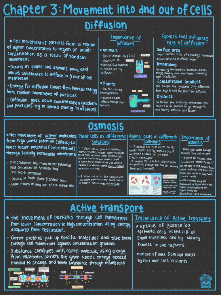 Chapter 3 - Movement Into and Out of Cells | PDF | Osmosis | Cell Membrane