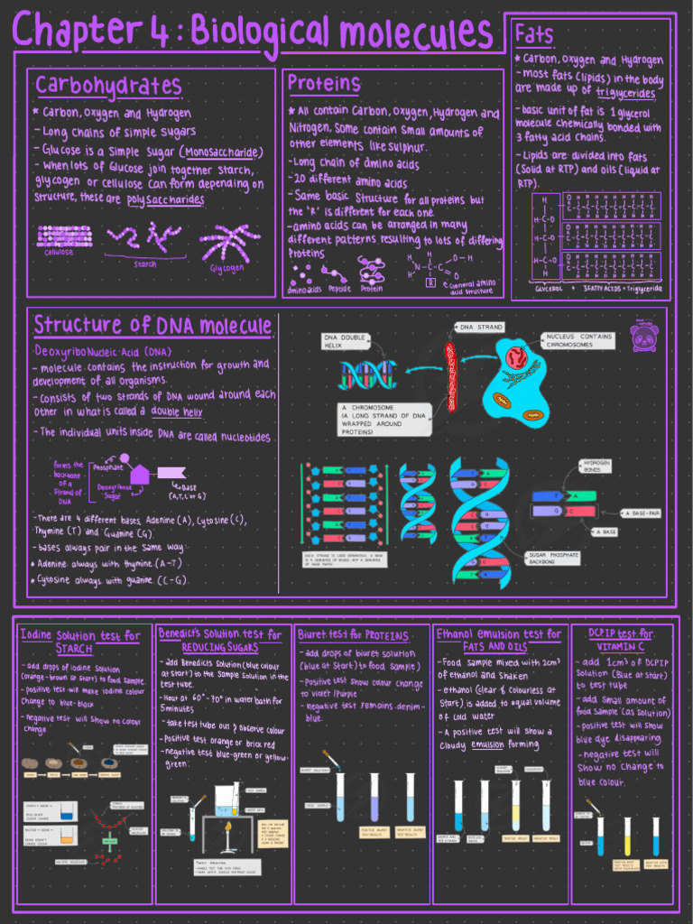 Chapter 4 - Biological Molecules | PDF | Carbohydrates | Lipid