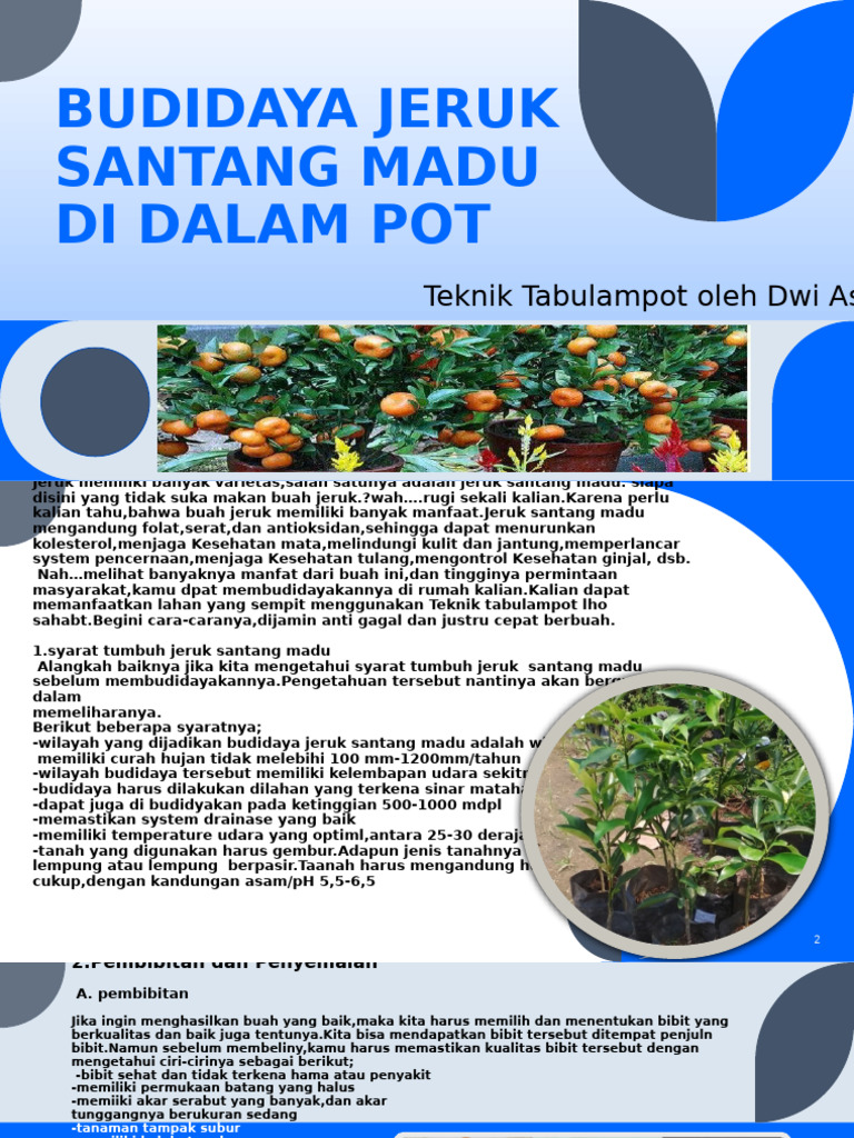 Budidaya Jeruk | PDF