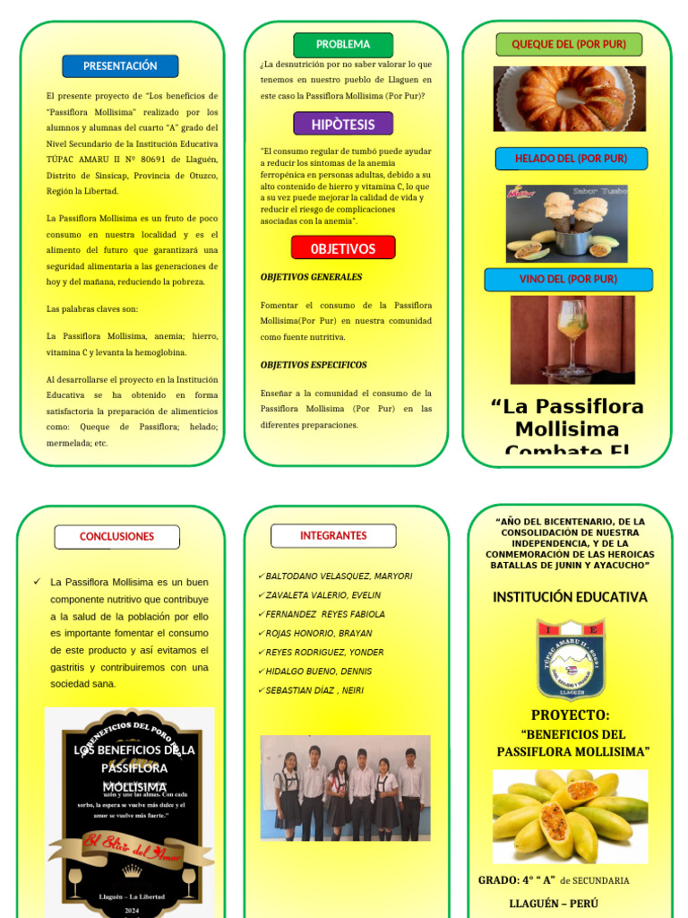 Triptico Del Por Puo | PDF