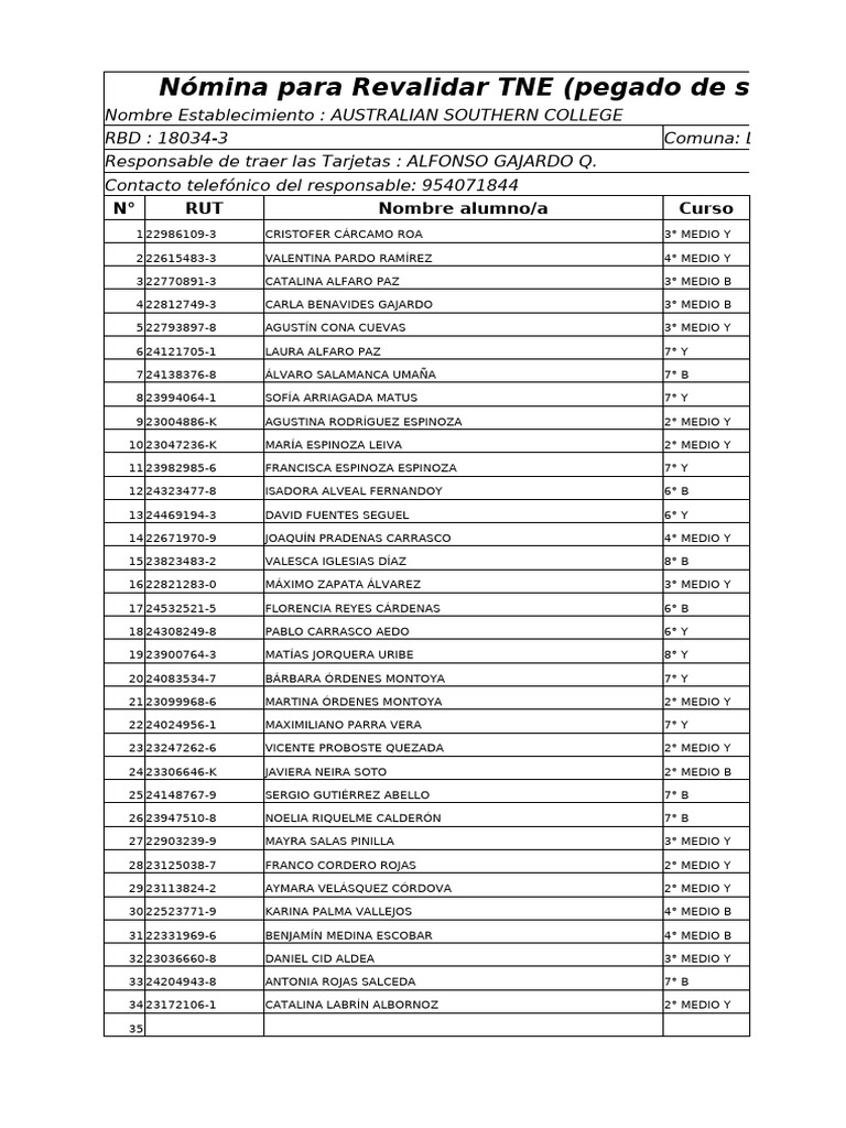 Formato para Revalidar TNE 2025 MODELO | PDF