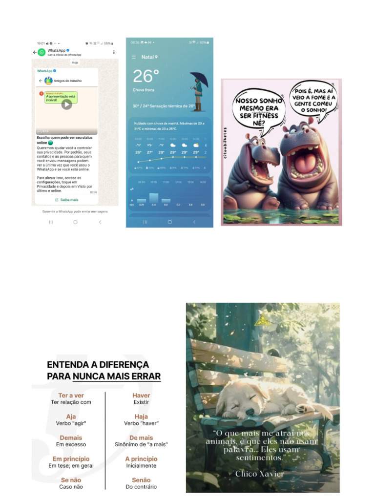 Gêneros Textuais Diversos | PDF