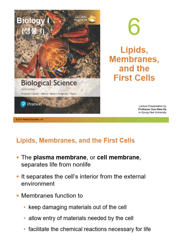 Biology I_Chap 06_Lipids, Membranes, and Cells | PDF | Cell Membrane ...