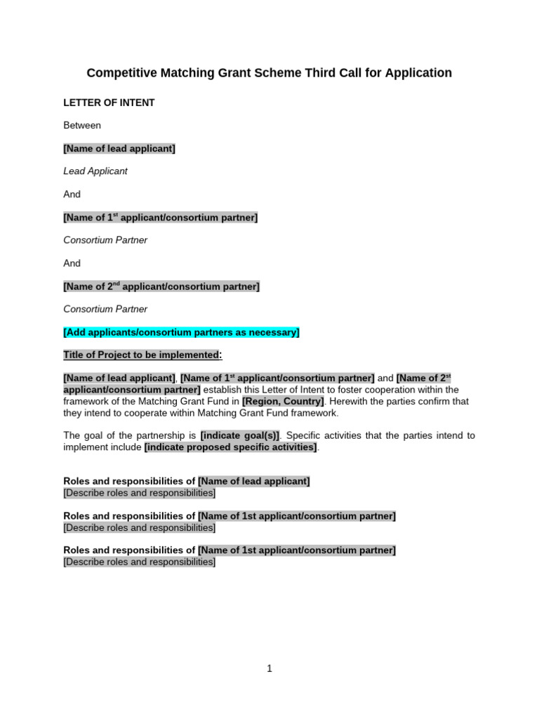 Annex 2 Letter of Intent Template | PDF