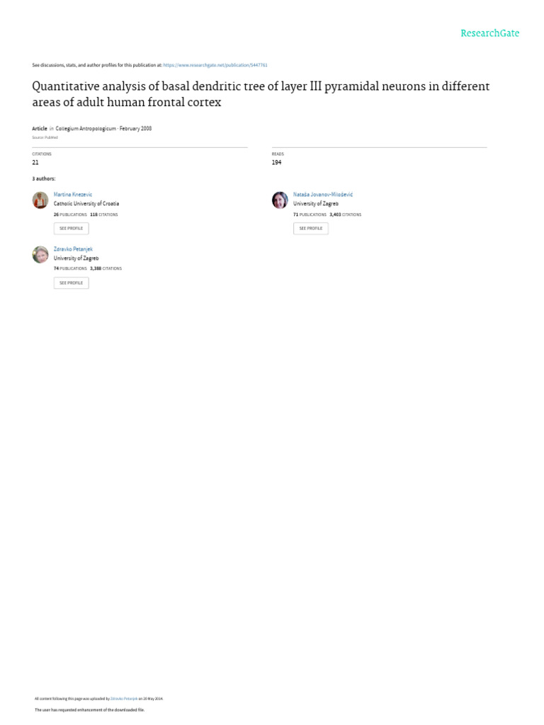Quantitative Analysis of Basal Dendritic Tree of L | PDF | Pyramidal ...