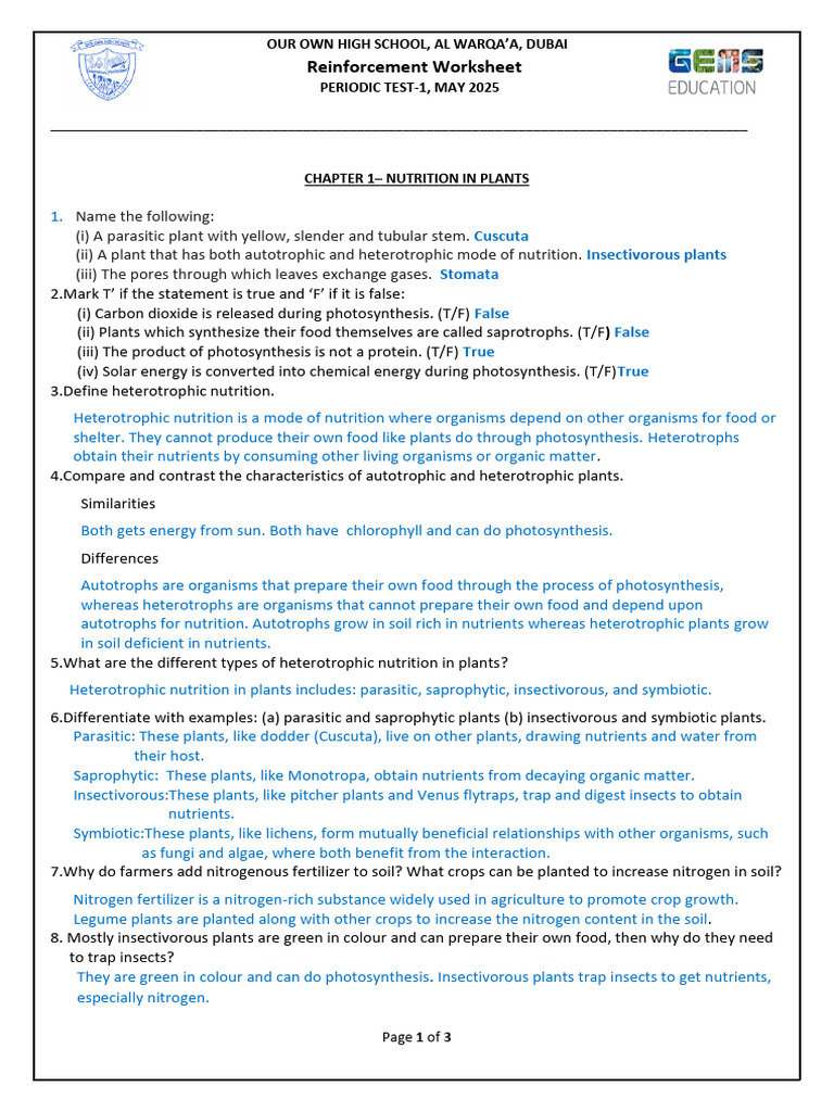 Grade7 PT1 Reinforcement Worksheet-Answer Key... | PDF | Digestion ...