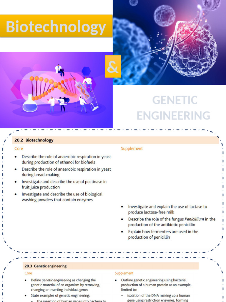 Biotechnology: Genetic Engineering & Enzymes | PDF | Plasmid | Active Site