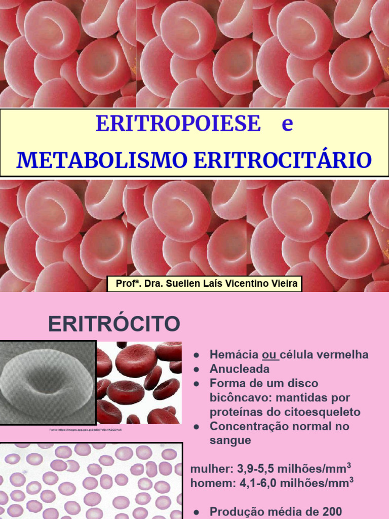 Etapas da Eritropoiese e Metabolismo | PDF | Hemácia | Especialidades ...