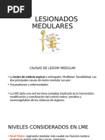 Lesión Medular | PDF | Neurología | Codo