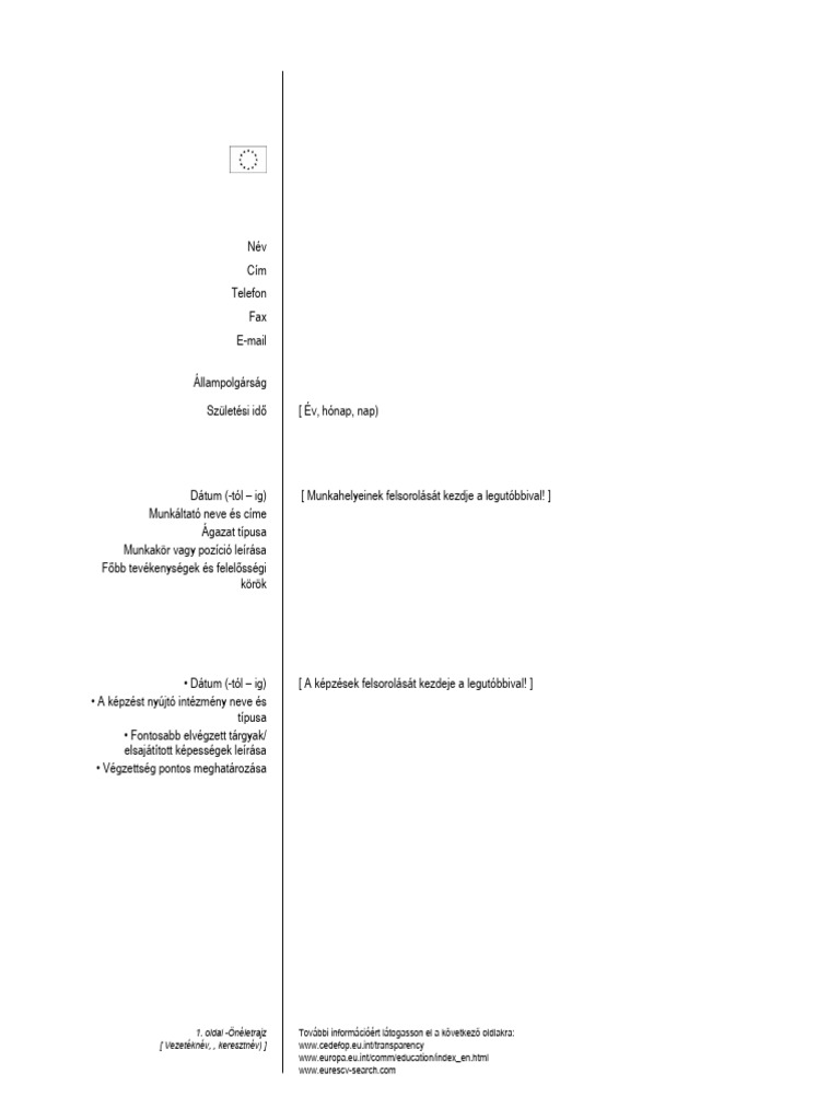 CV Format Hu | PDF