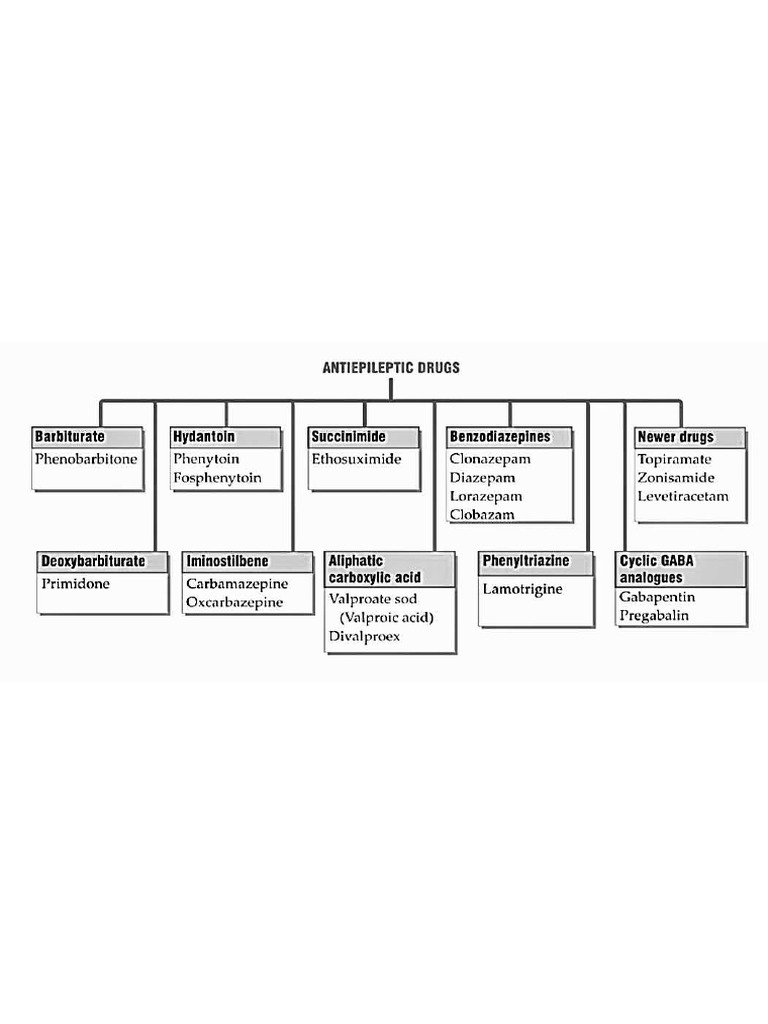 Pharmac Classifications | PDF