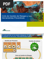 Carta de Valores de BHP | PDF | Riesgo | Valores