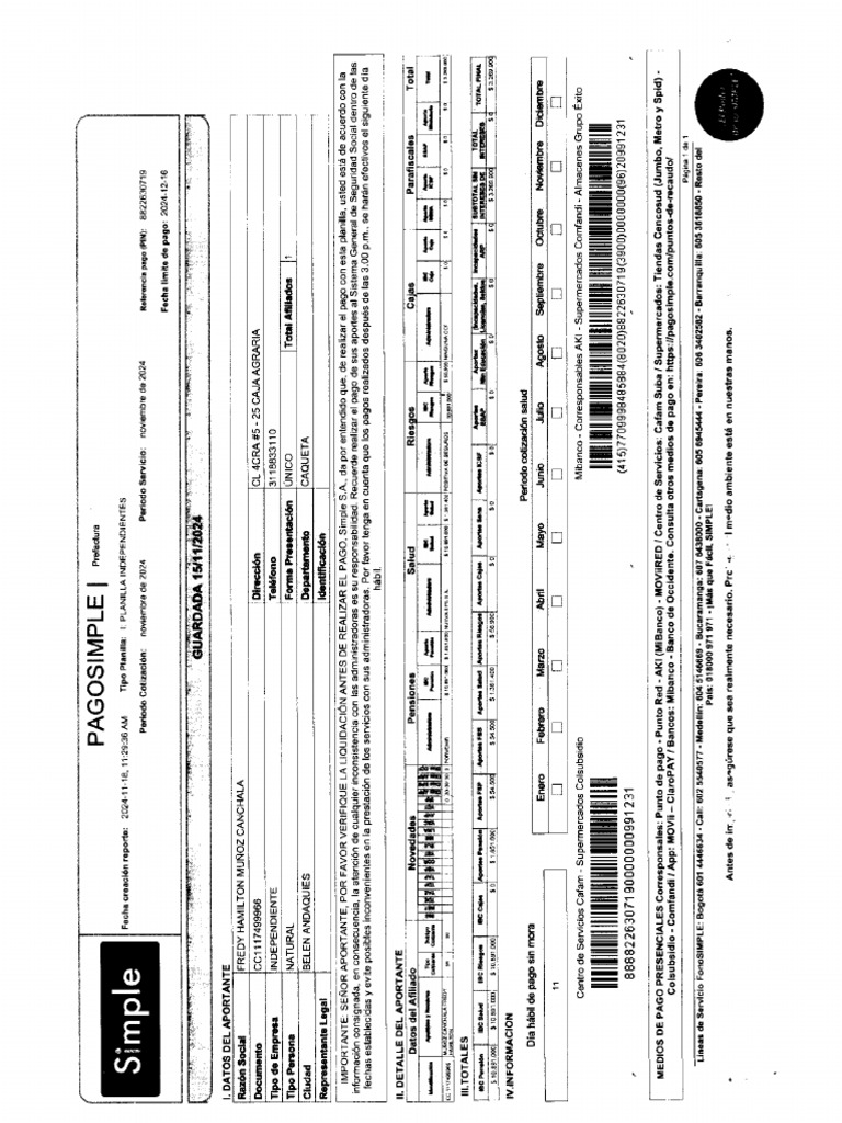 Planilla Chipi20241118 - 15225339 | PDF