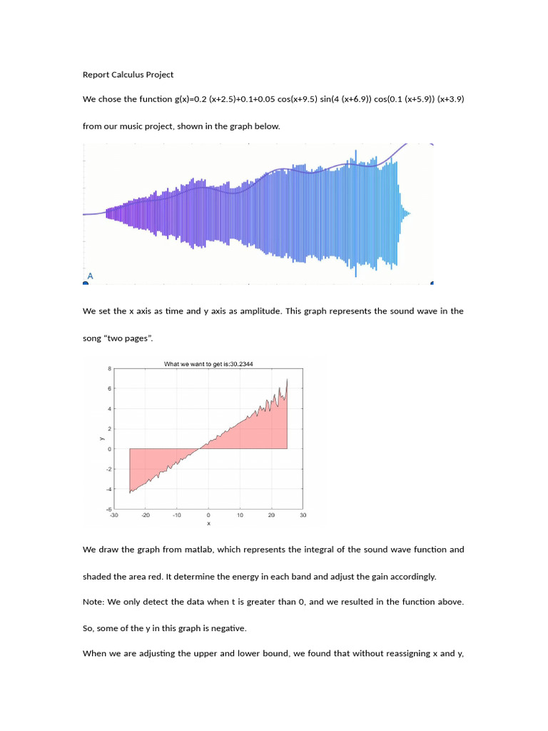 Report Calculus Project | PDF