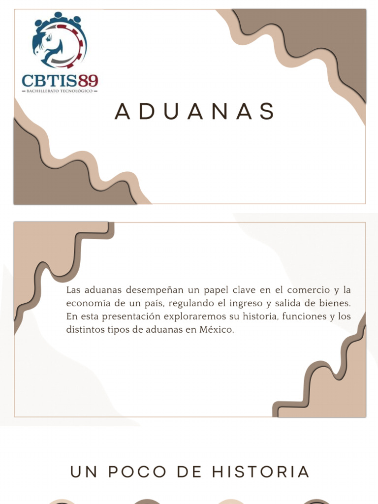 Aduanas | PDF