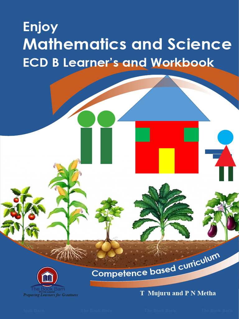 Enjoy Maths and Science ECD B Learners & Workbook E-Sample | PDF ...