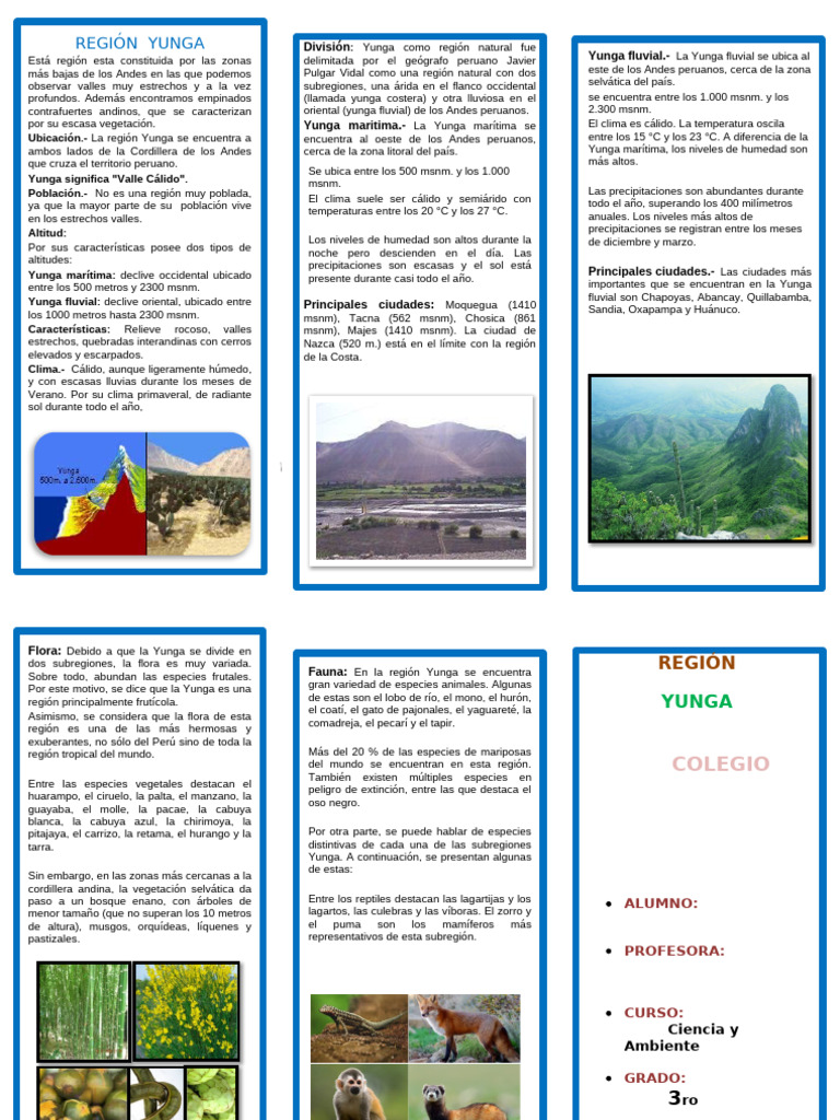 Region Yunga | PDF | Ciencias de la Tierra | Entorno natural