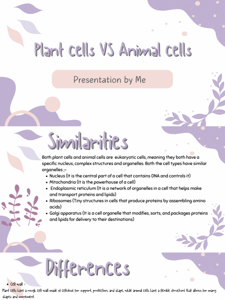 Plant Cells VS Animal Cells | PDF | Cell (Biology) | Vacuole