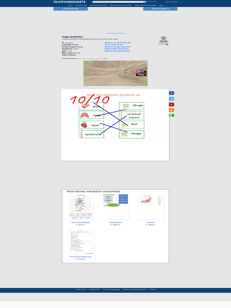 Organ Protection Worksheet | PDF
