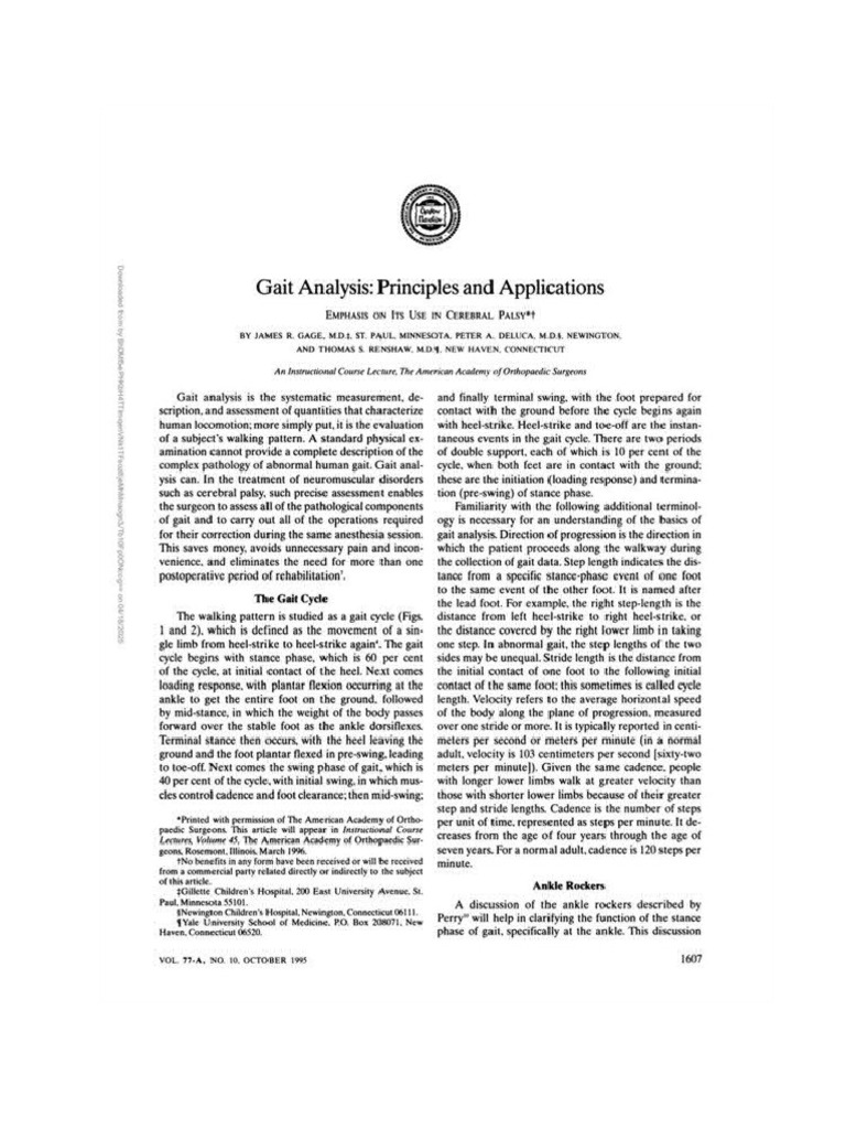 Document-WPS Office | PDF