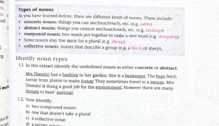 Types of Noun 2025 Term 2 p1 | PDF