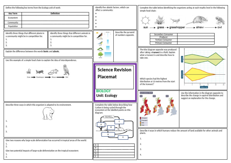 Ecology Revision Guide for GCSE Biology | PDF | Ecosystem | Ecology
