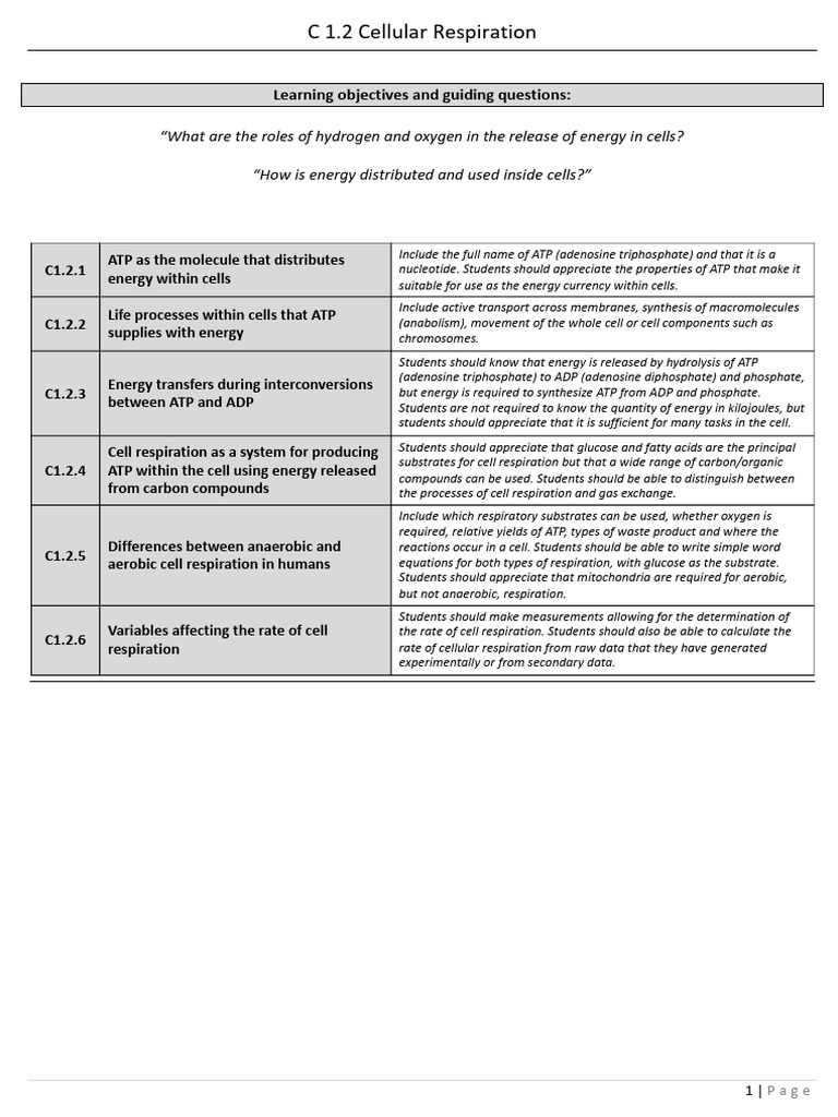 C 1.2 SL Cell Respiration - Student Notes | PDF | Cellular Respiration ...